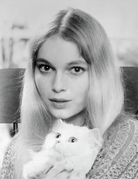 Actress Farrow From Peyton Place 60 Photos - Moonagedaydream.film