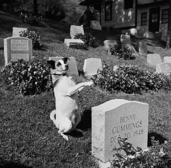 Art Benny Grave