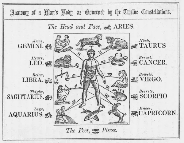 Body parts of the zodiac - Horoscopeaz.com