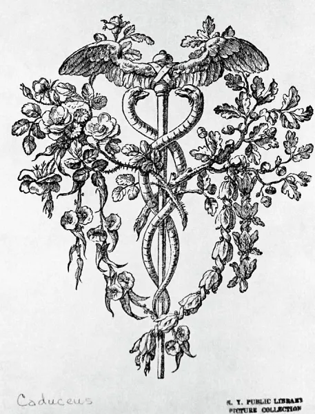 Caduceus Design