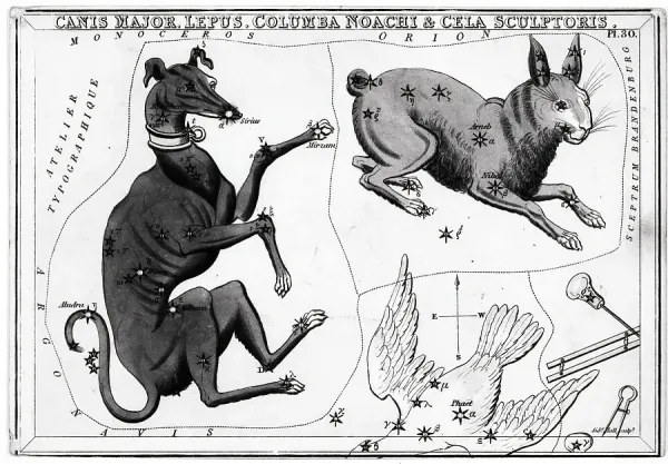 Lepus Constellation Drawing