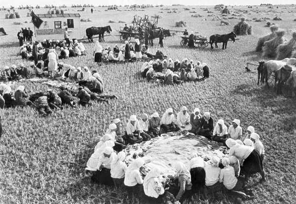 Farm Workers Black And White Photography Poster Group Of Farm Workers