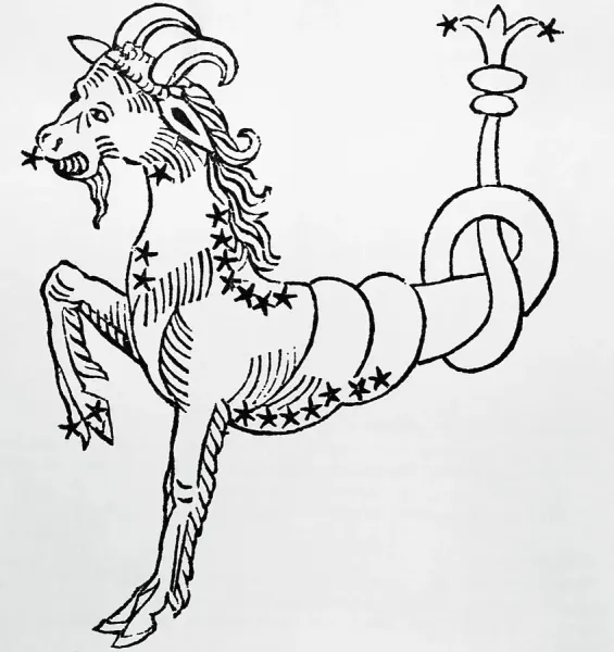 Zodiac sign goat symbol 60 photos - Youhoroscope.com