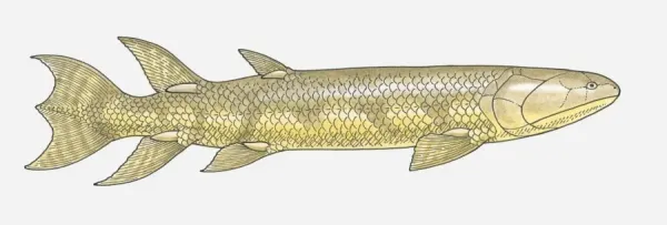 Devonian Period Fish Devonian Earth: A World Of Giant Sea Scorpions,