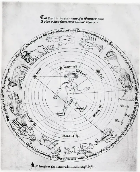 Zodiac anatomy 60 photos - Astrologytoyou.com