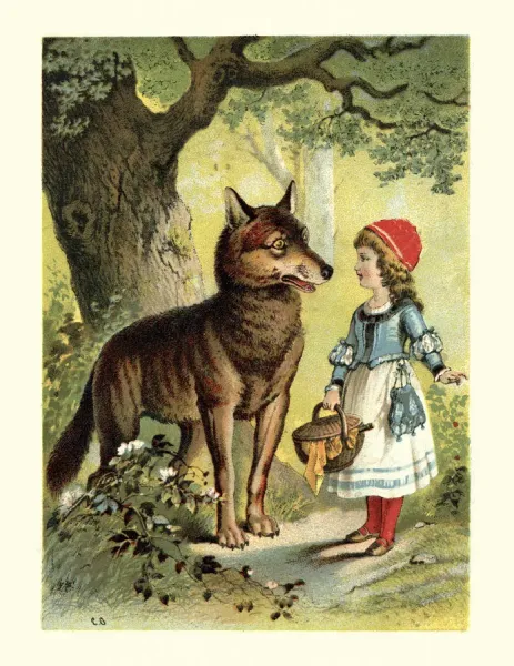Little Red Riding Hood And The Wolf Photography