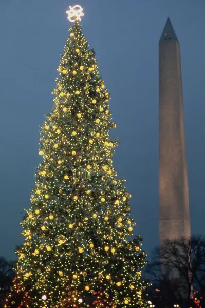 Obelisk Christmas Tree