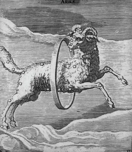 Jacob black zodiac sign 60 photos - Astrologytoyou.com