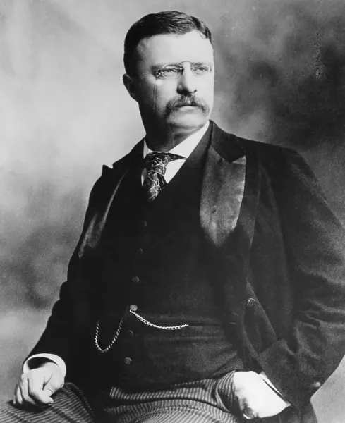 Theodore Roosevelt 26th President