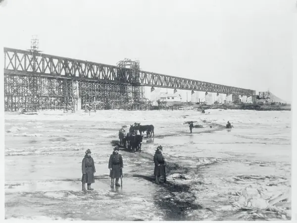 View of Sheep in Japan Our beautiful Wall Art and Photo Gifts include ...